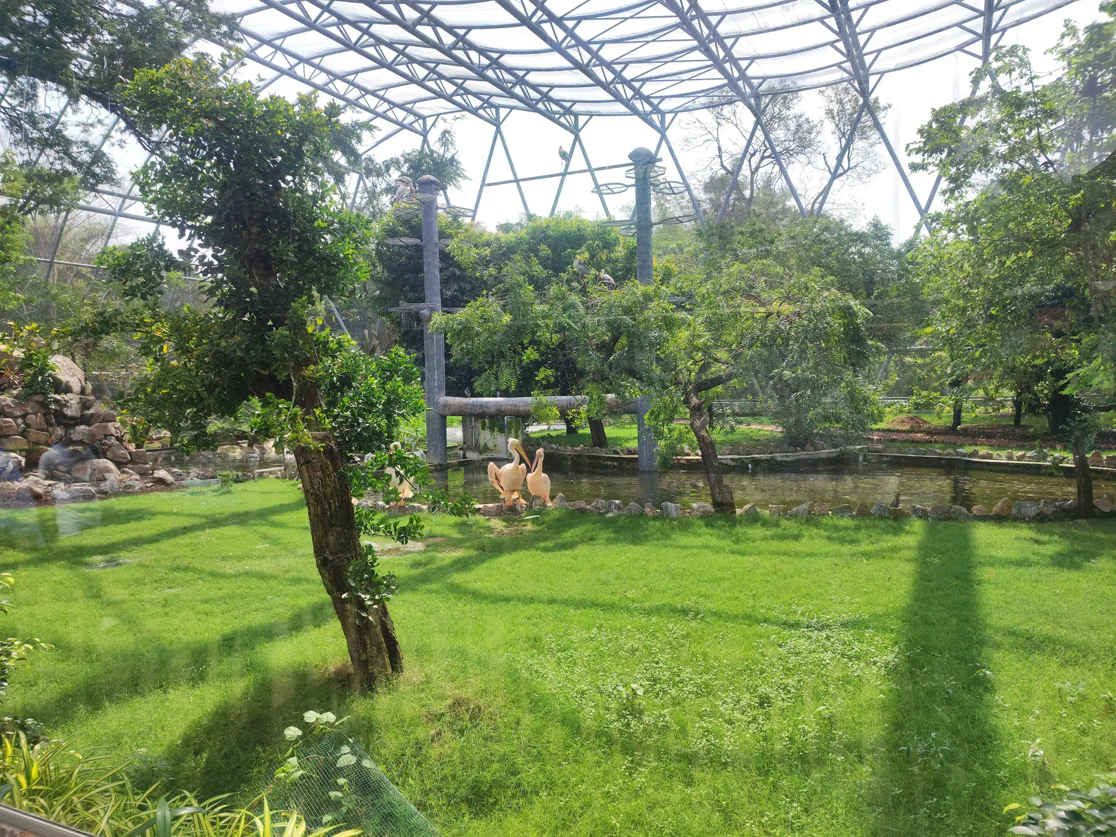 Guindy National Park: Chennai’s Urban Wildlife Oasis - India Geographies