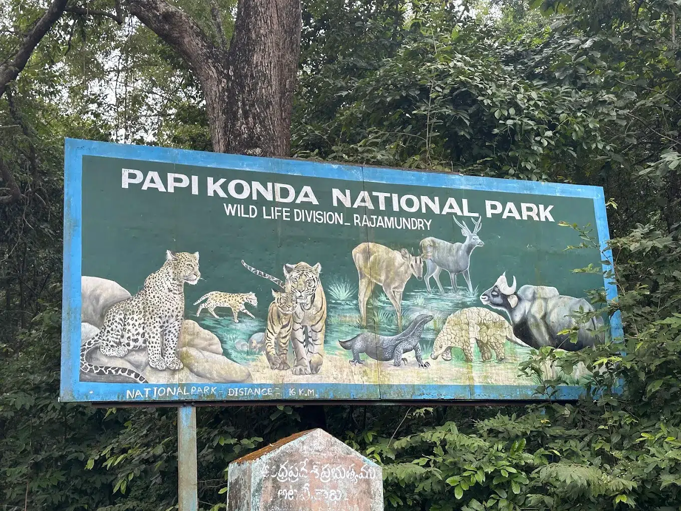 Papikonda National Park: A Wilderness Jewel in the Eastern Ghats ...